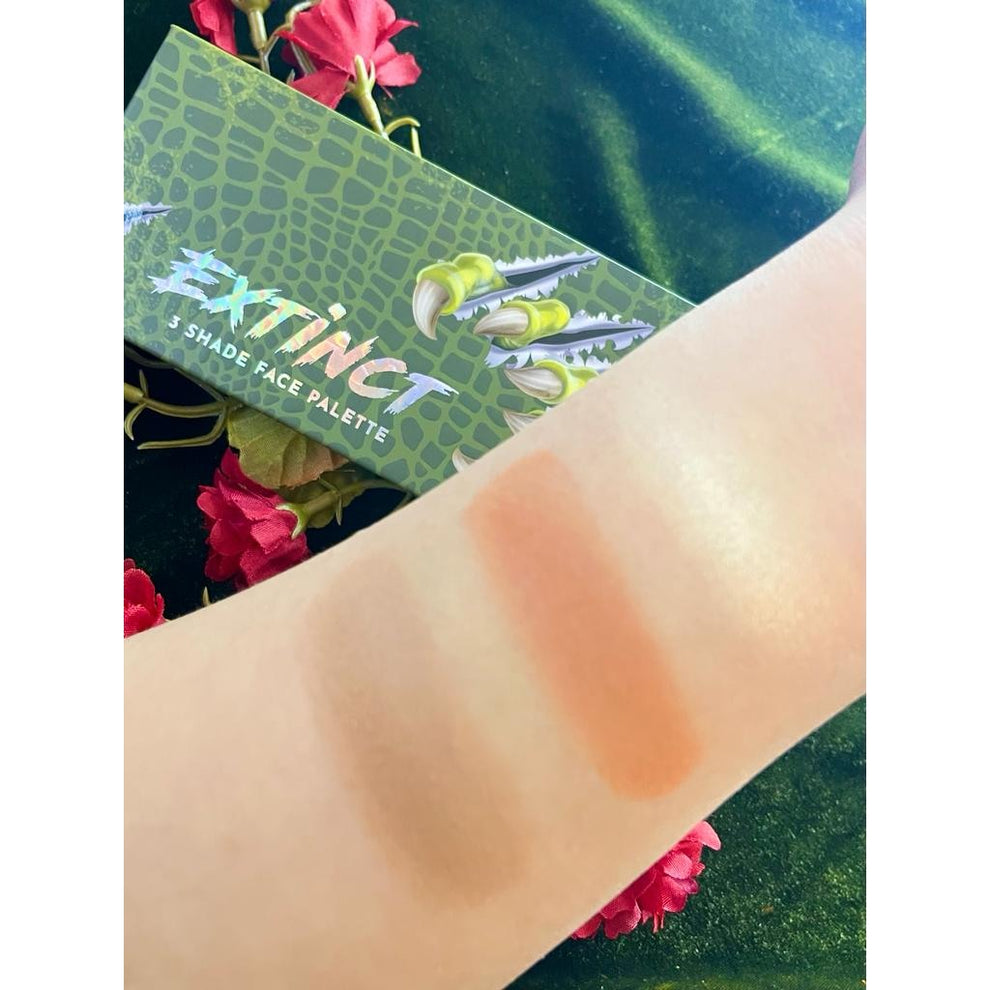 Prolux Extinct Face Palette for Flawless Face Contour – Prolux Cosmetics